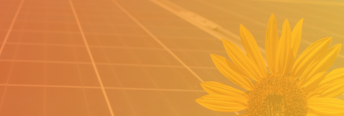 garden_bg.png | SunShare